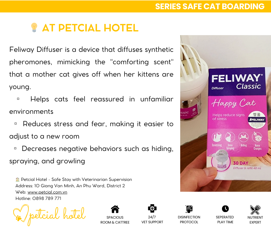 Feliway: a feline facial pheromone – PETCIAL Pet Grooming & Cat Hotel