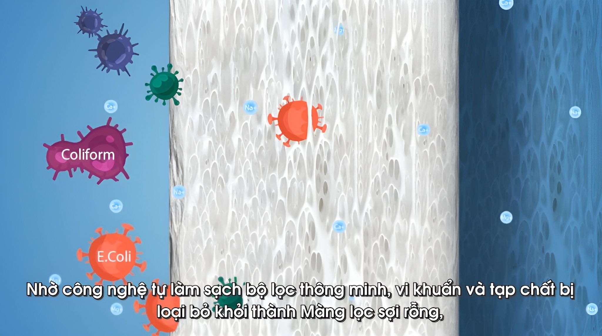 Hệ thống lọc tổng Mitsubishi Cleansui MPOE-P – Kingwater