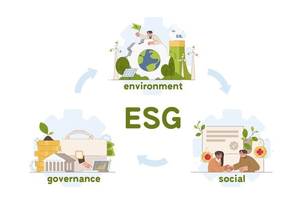 ESG là gì? Dịch vụ xây dựng báo cáo ESG chất lượng – Tư vấn Quản lý và Phát triển Doanh nghiệp