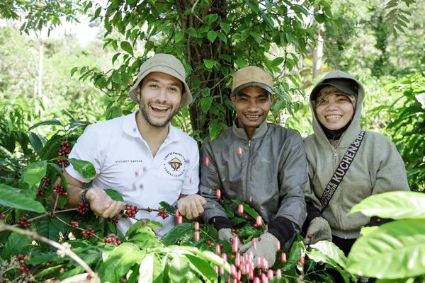 Giới thiệu – iforest