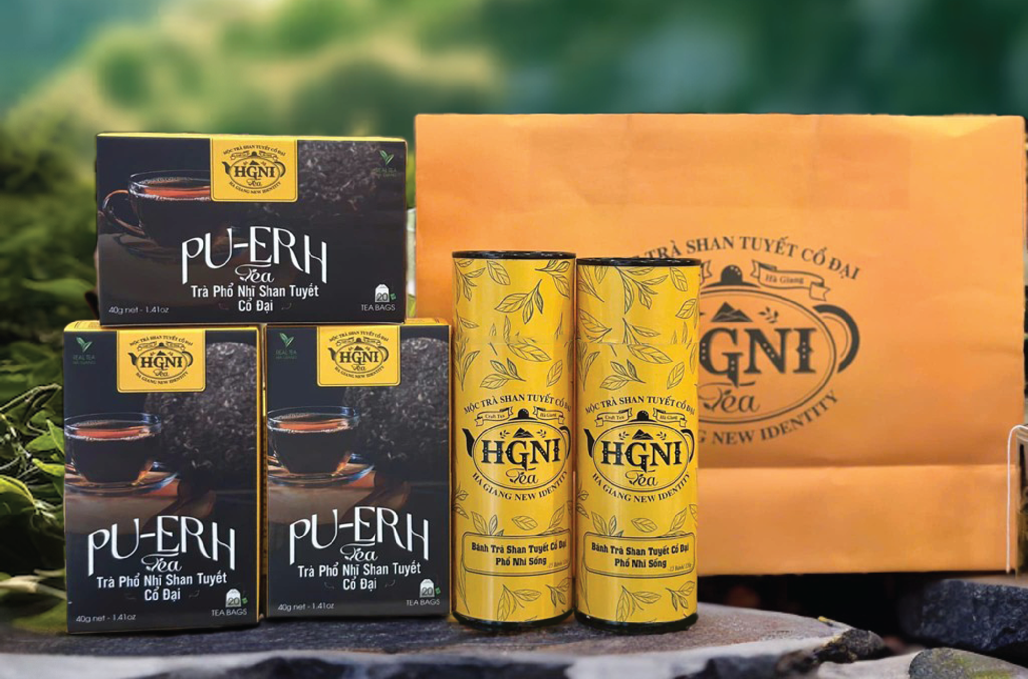 HGNI TEA - TINH TÚY TRONG TỪNG LÁ TRÀ – hgnitea