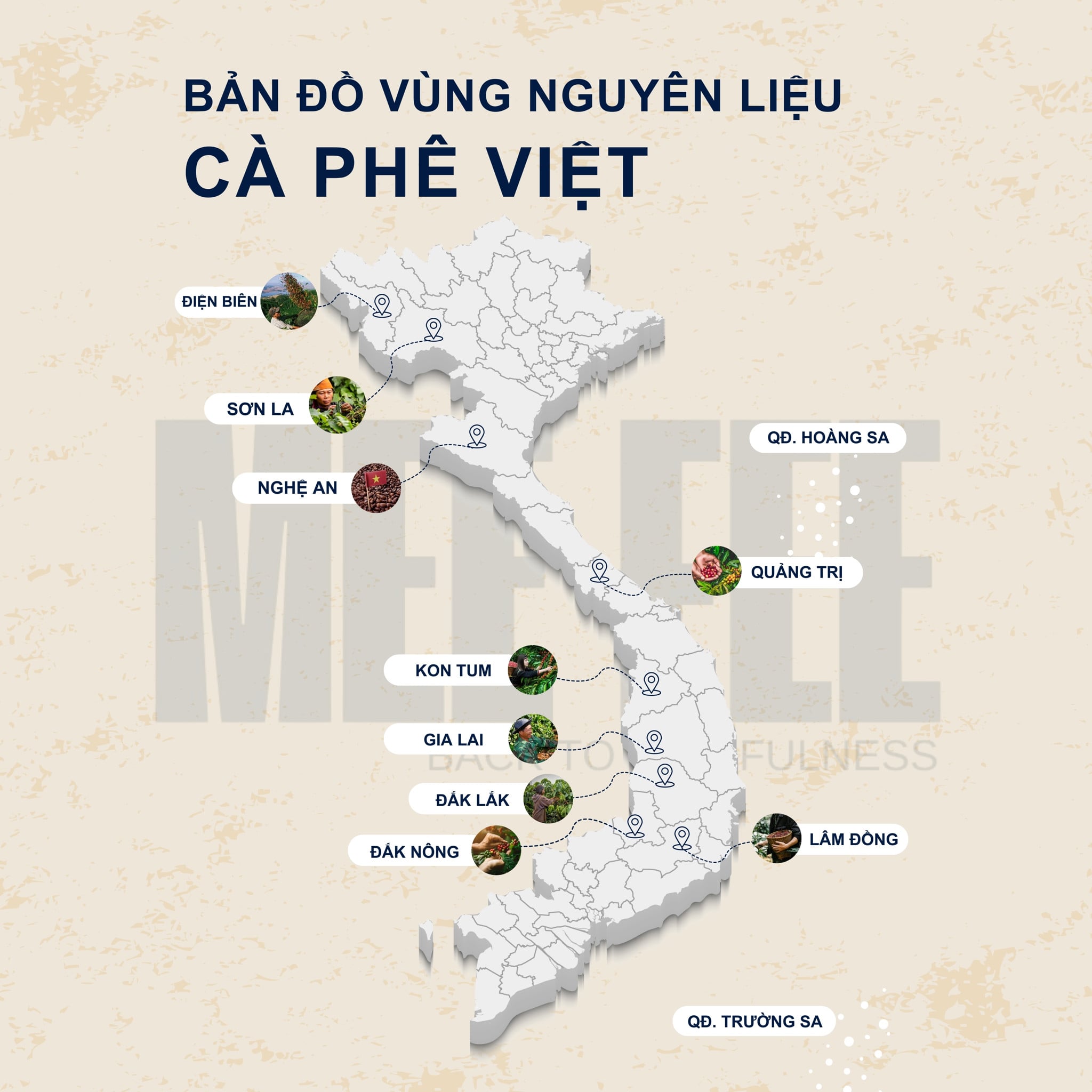 Các vùng vùng trồng Cà phê tại Việt Nam – MEE FEE