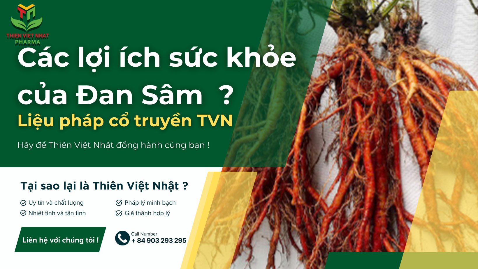 Các lợi ích sức khỏe của Dược liệu Đan Sâm – Công ty Cổ phân Thiên Việt ...