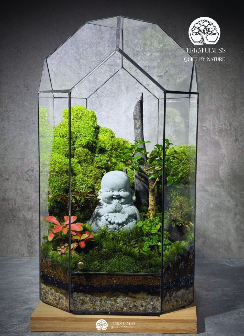 Zen Terrarium – Sản Xuất Terrarium Sỉ và Lẻ HCM | TERRAFULNESS