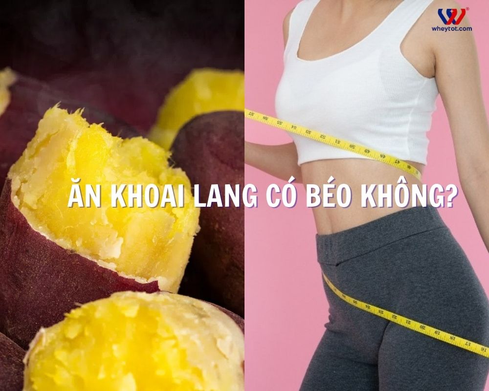 Ăn khoai lang có béo không? Cách ăn giảm cân đúng cách
