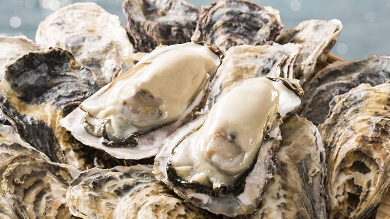 TOP 7+ THỰC PHẨM GIÀU KẼM, DỄ TÌM CHO CƠ THỂ KHỎE MẠNH – FRESHEEN HEALTH