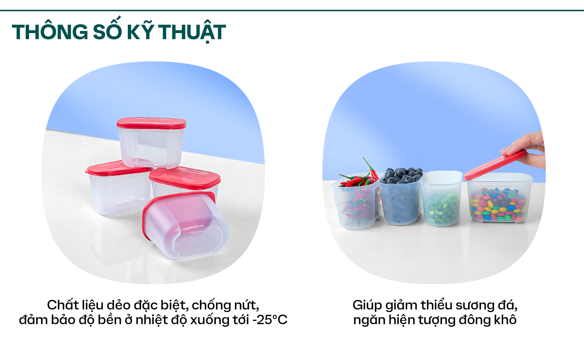Hộp Đựng Thực Phẩm Tupperware Trữ Đông Dateline Mini Double 300ml