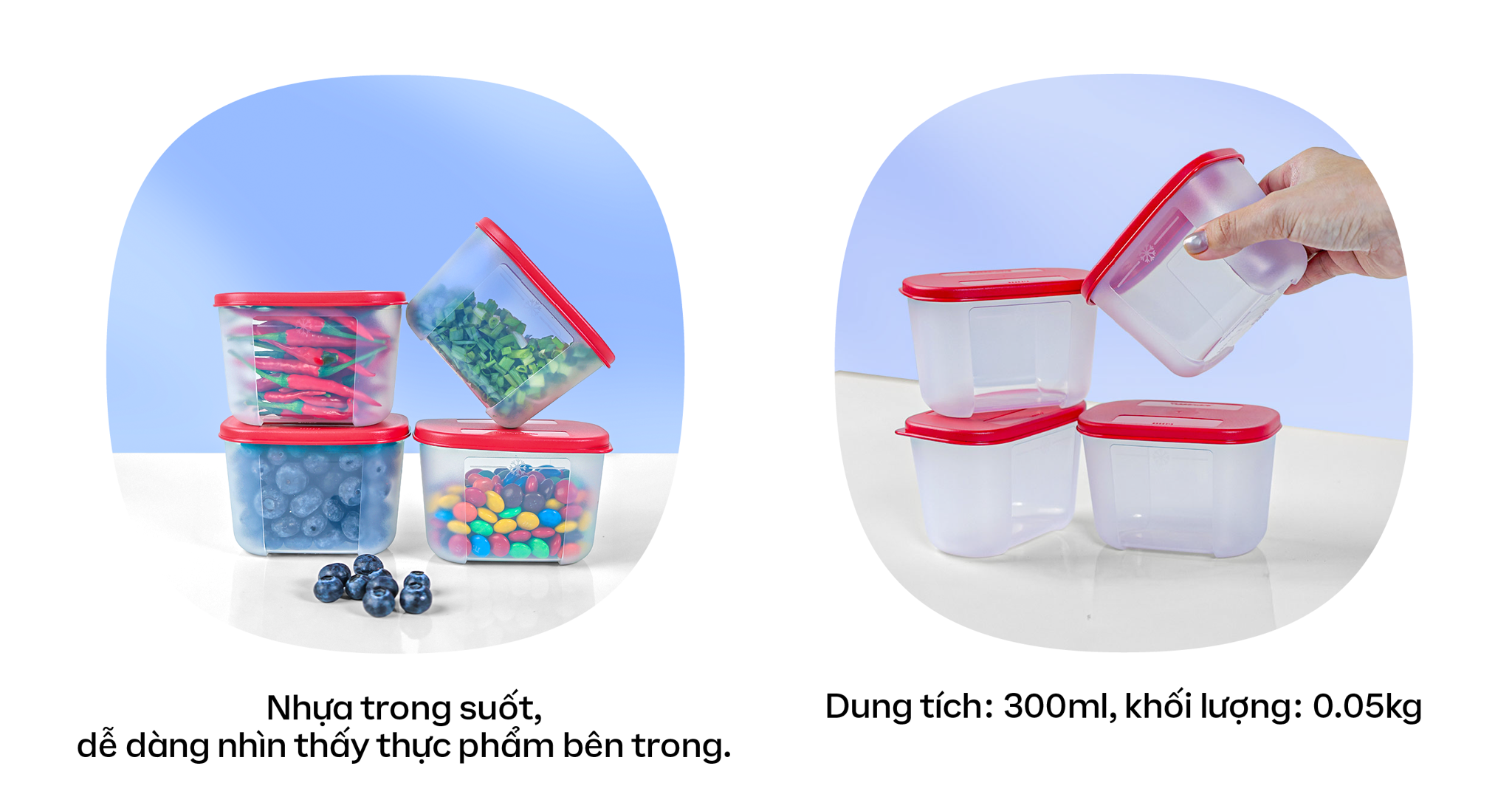 Hộp Đựng Thực Phẩm Tupperware Trữ Đông Dateline Mini Double 300ml